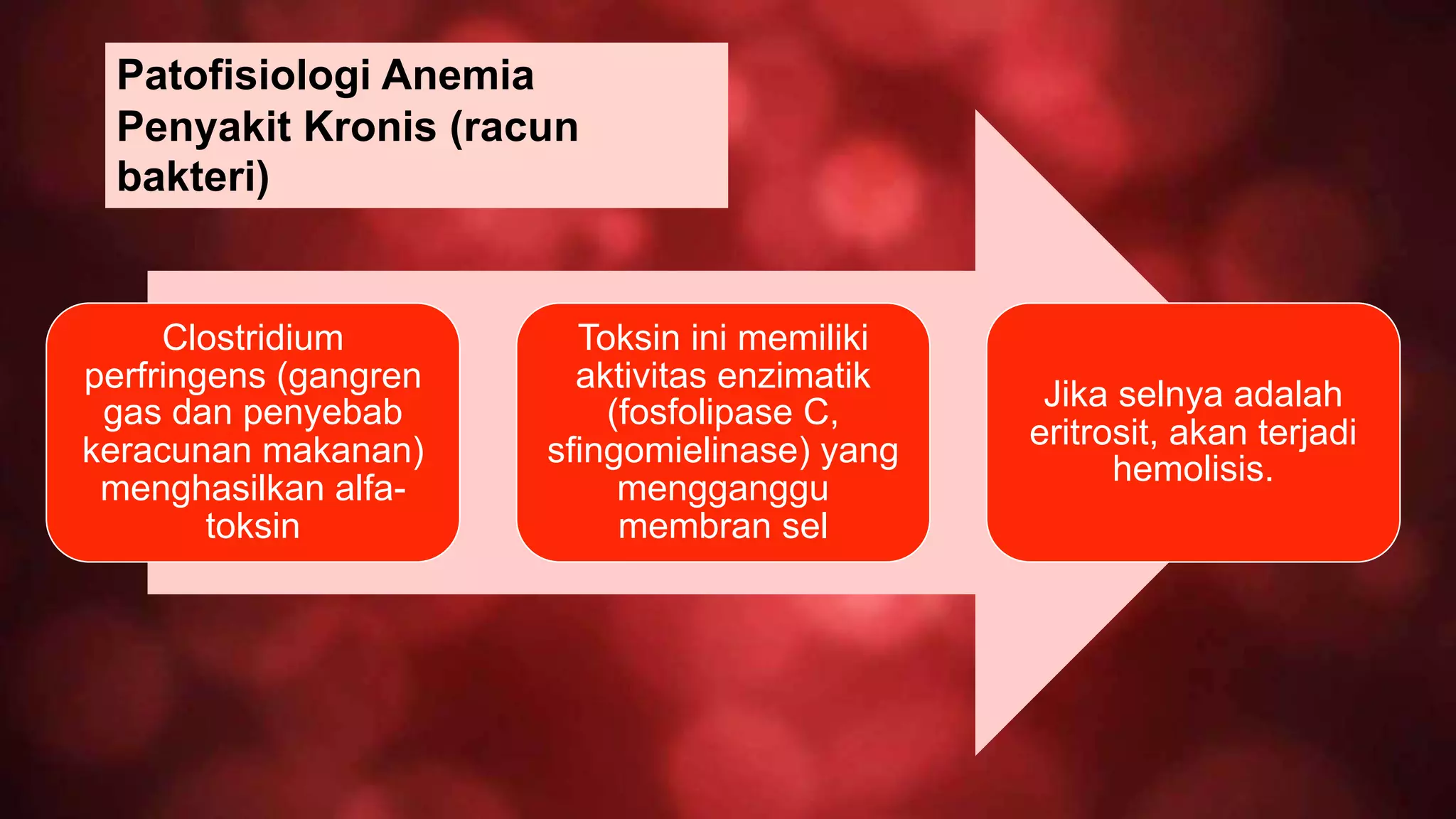 patofisiologi Mikro Mineral (Anemia).pdf