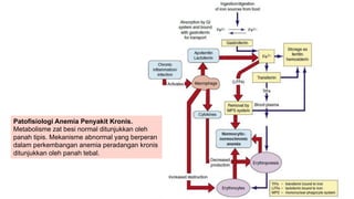 patofisiologi Mikro Mineral (Anemia).pdf