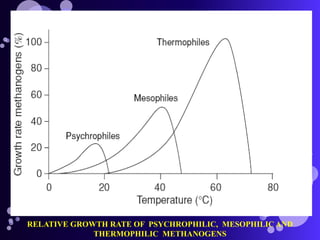 12. FACTORS AFFECTING BIOGAS PRODUCTION.ppt