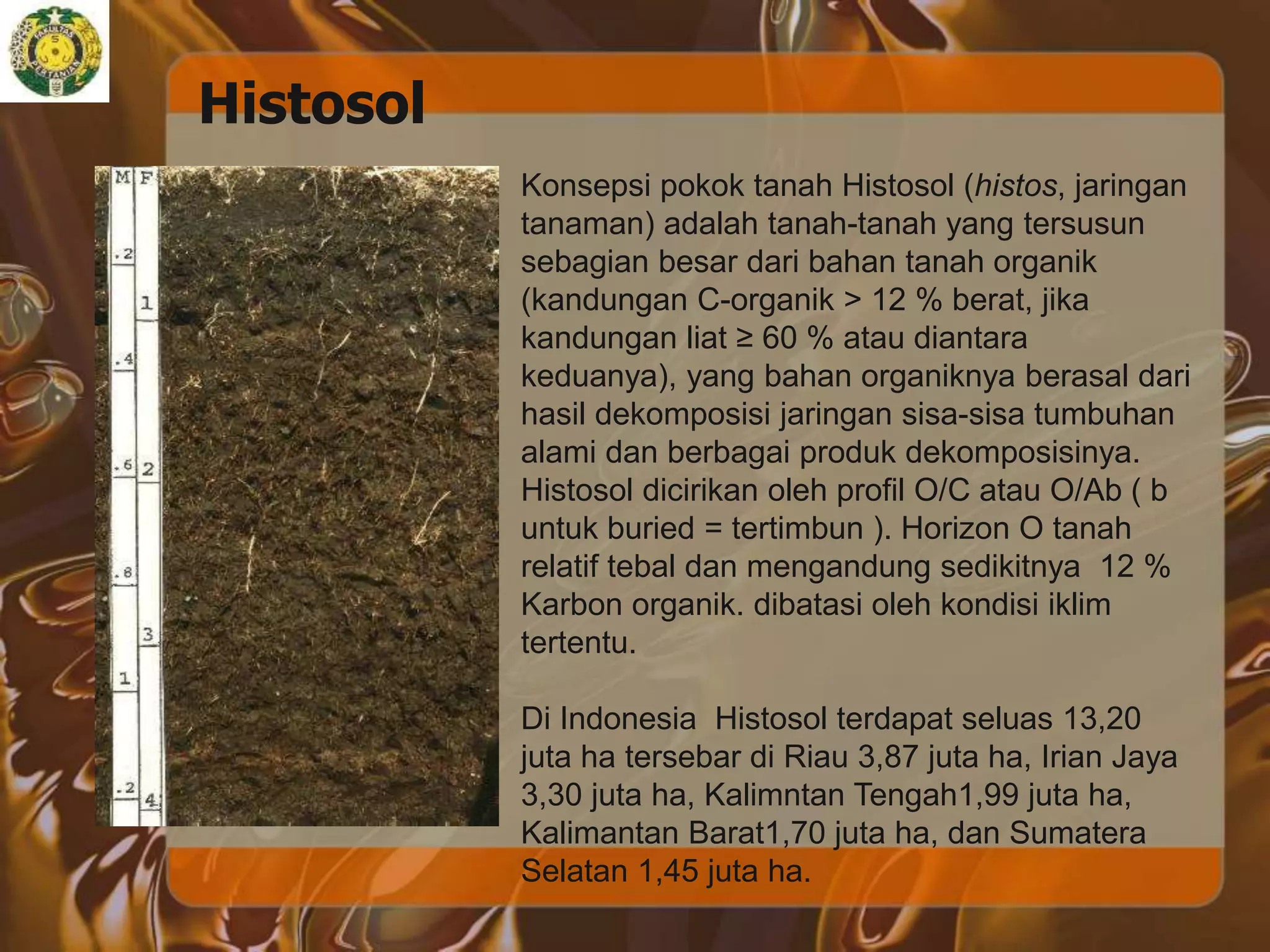 12. Klasifikasi Tanah -DIT.ppt