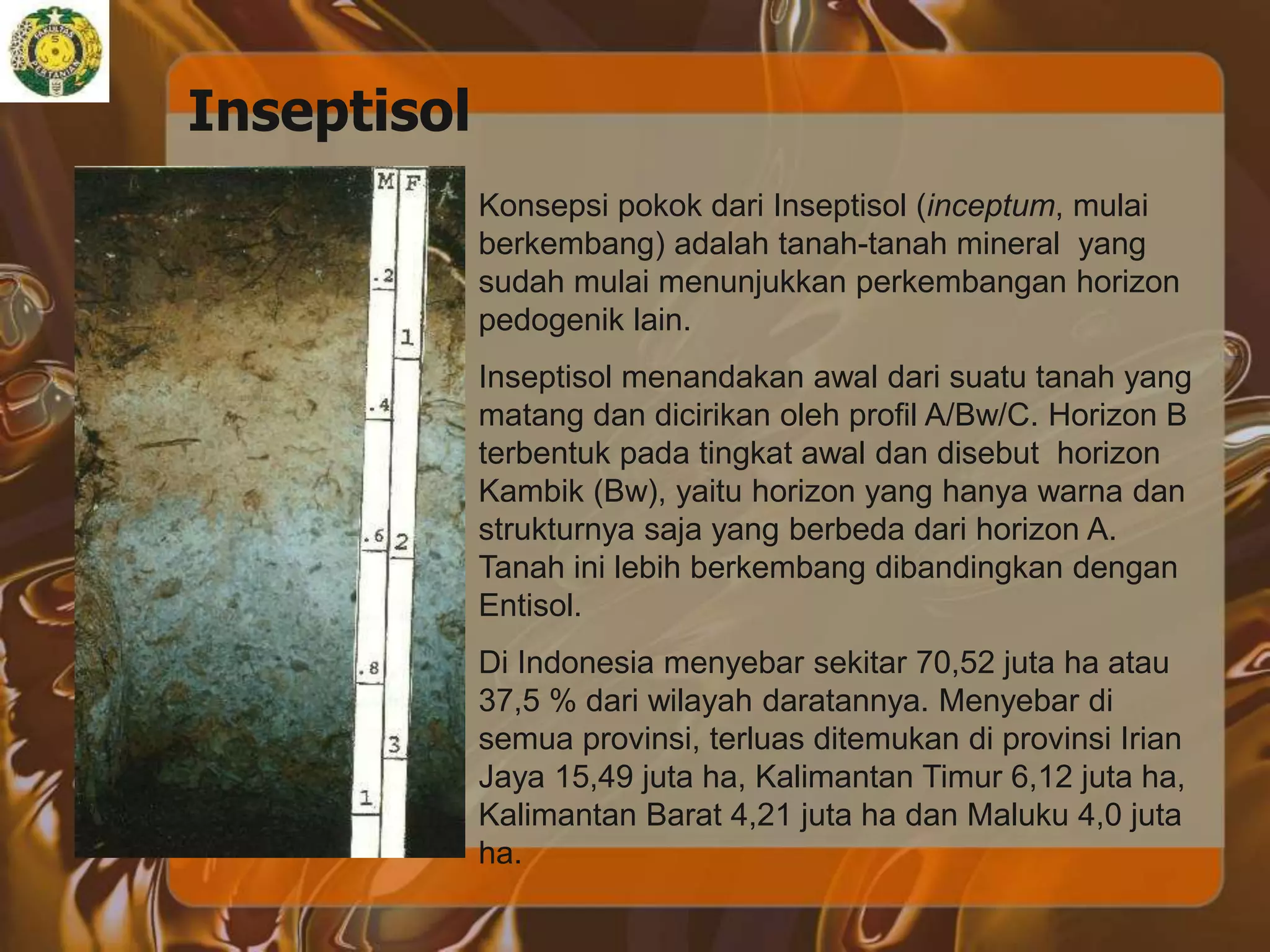 12. Klasifikasi Tanah -DIT.ppt