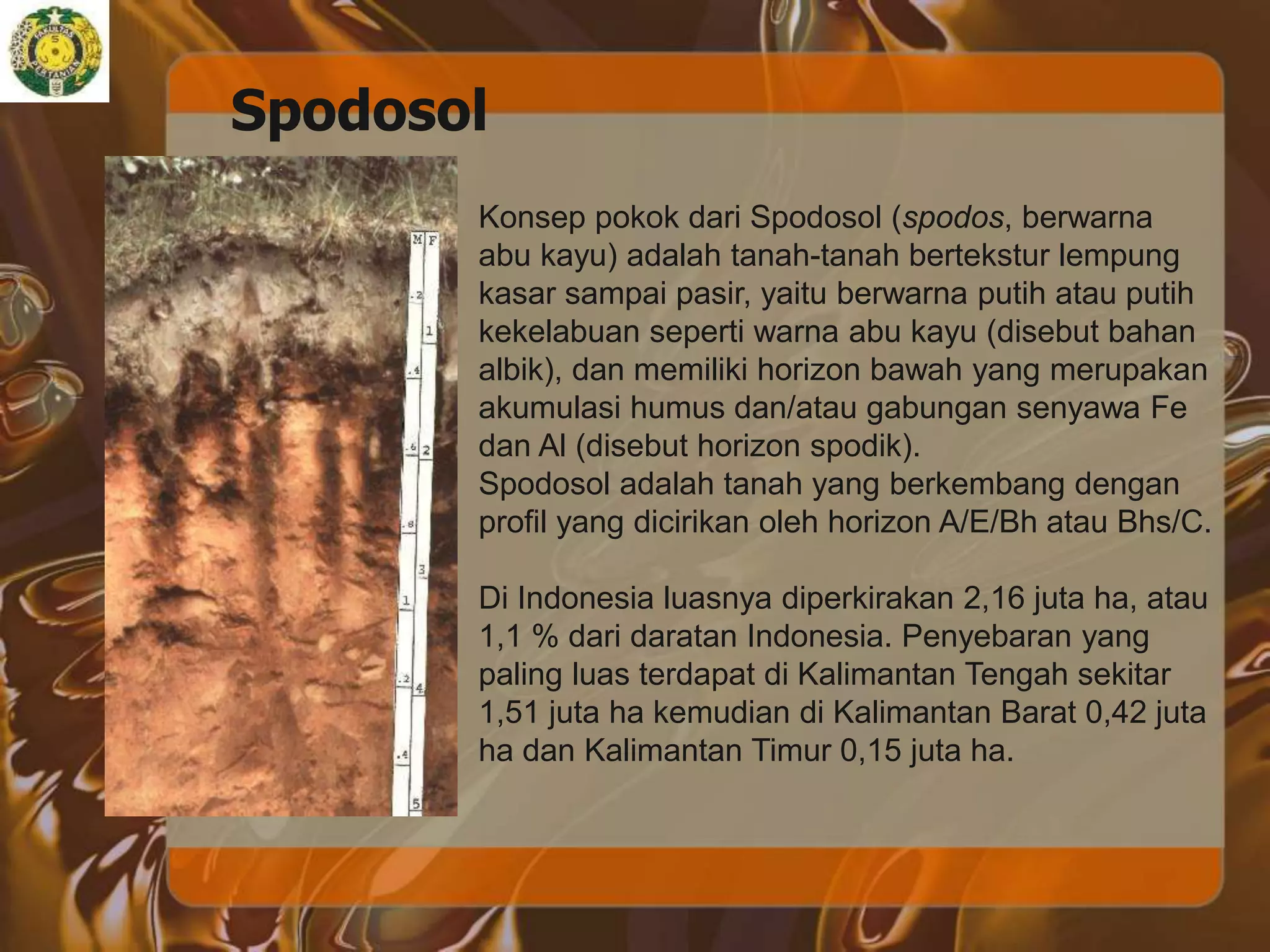 12. Klasifikasi Tanah -DIT.ppt