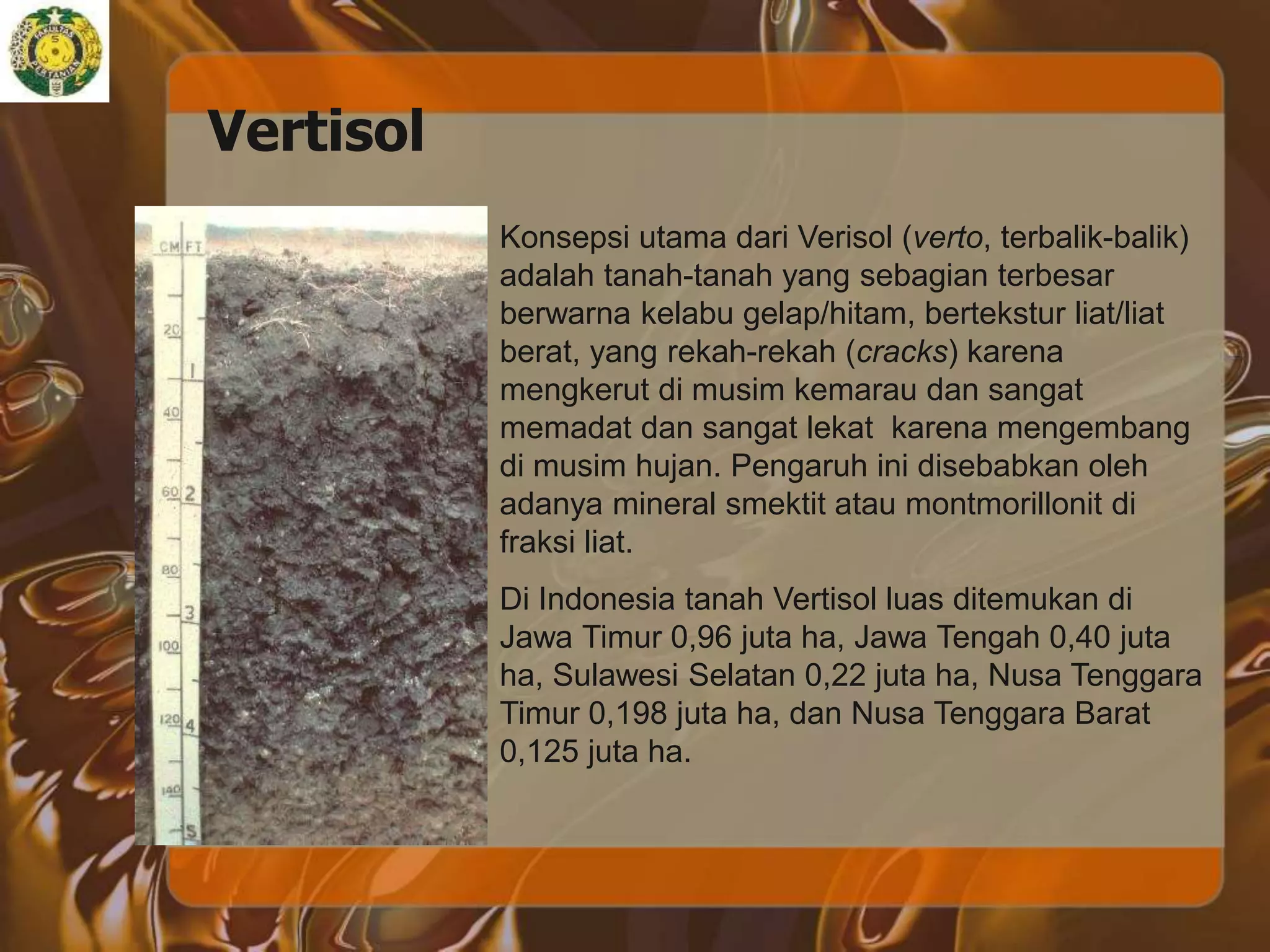 12. Klasifikasi Tanah -DIT.ppt