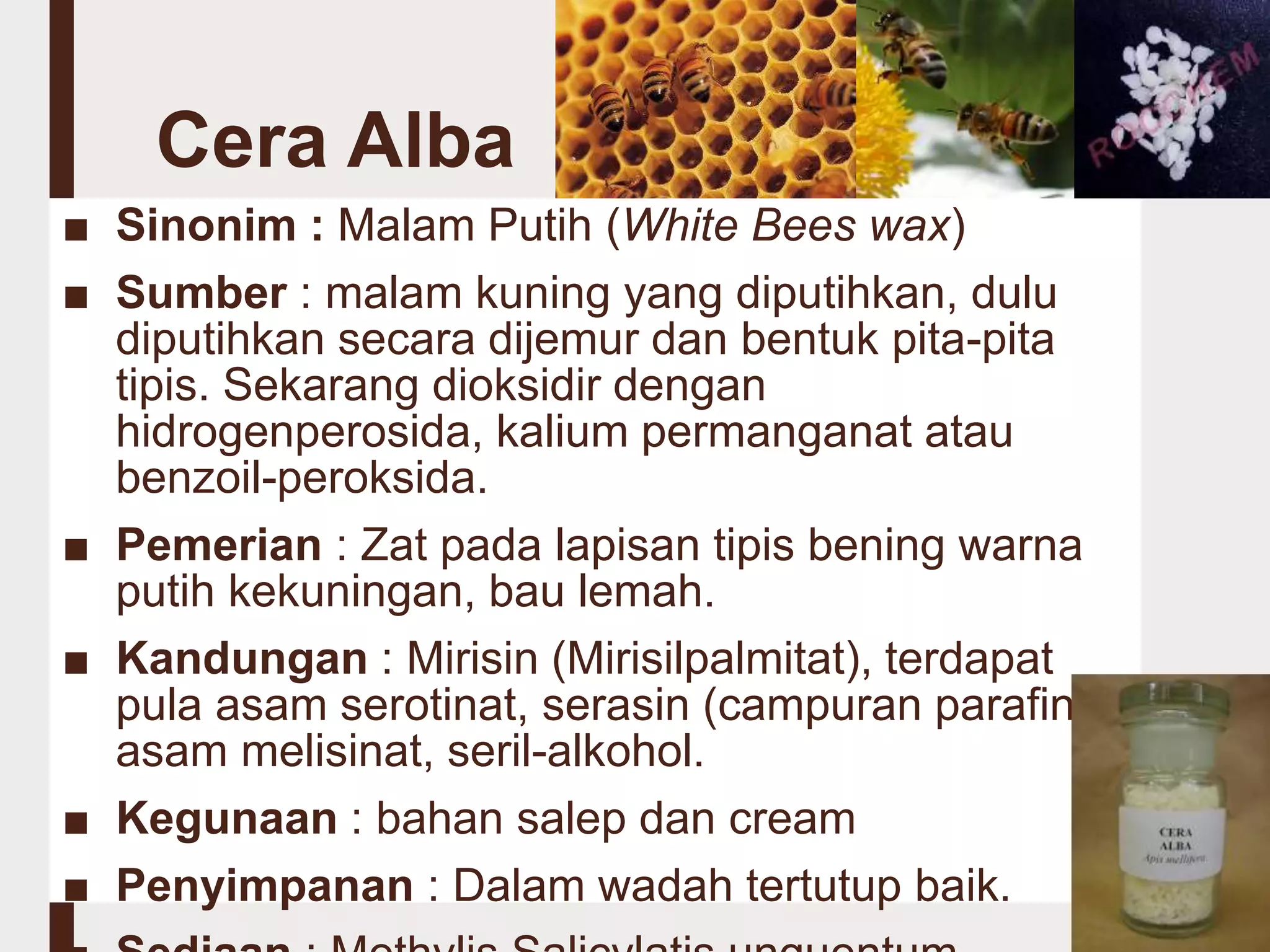 12. simplisia hewani.pptx