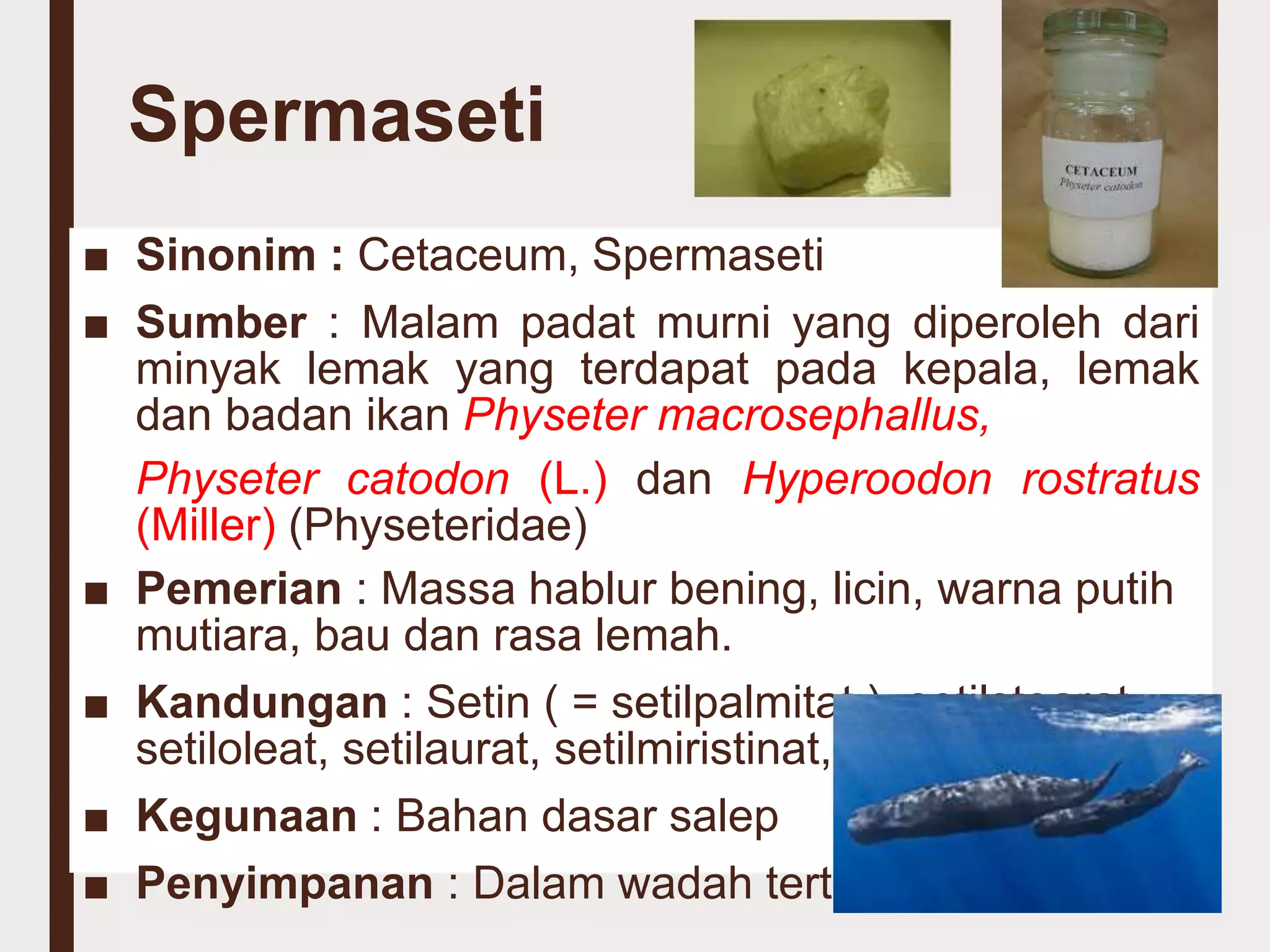 12. simplisia hewani.pptx