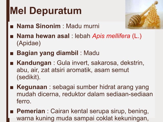 12. simplisia hewani.pptx