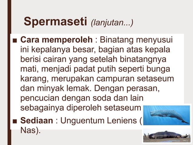 12. simplisia hewani.pptx