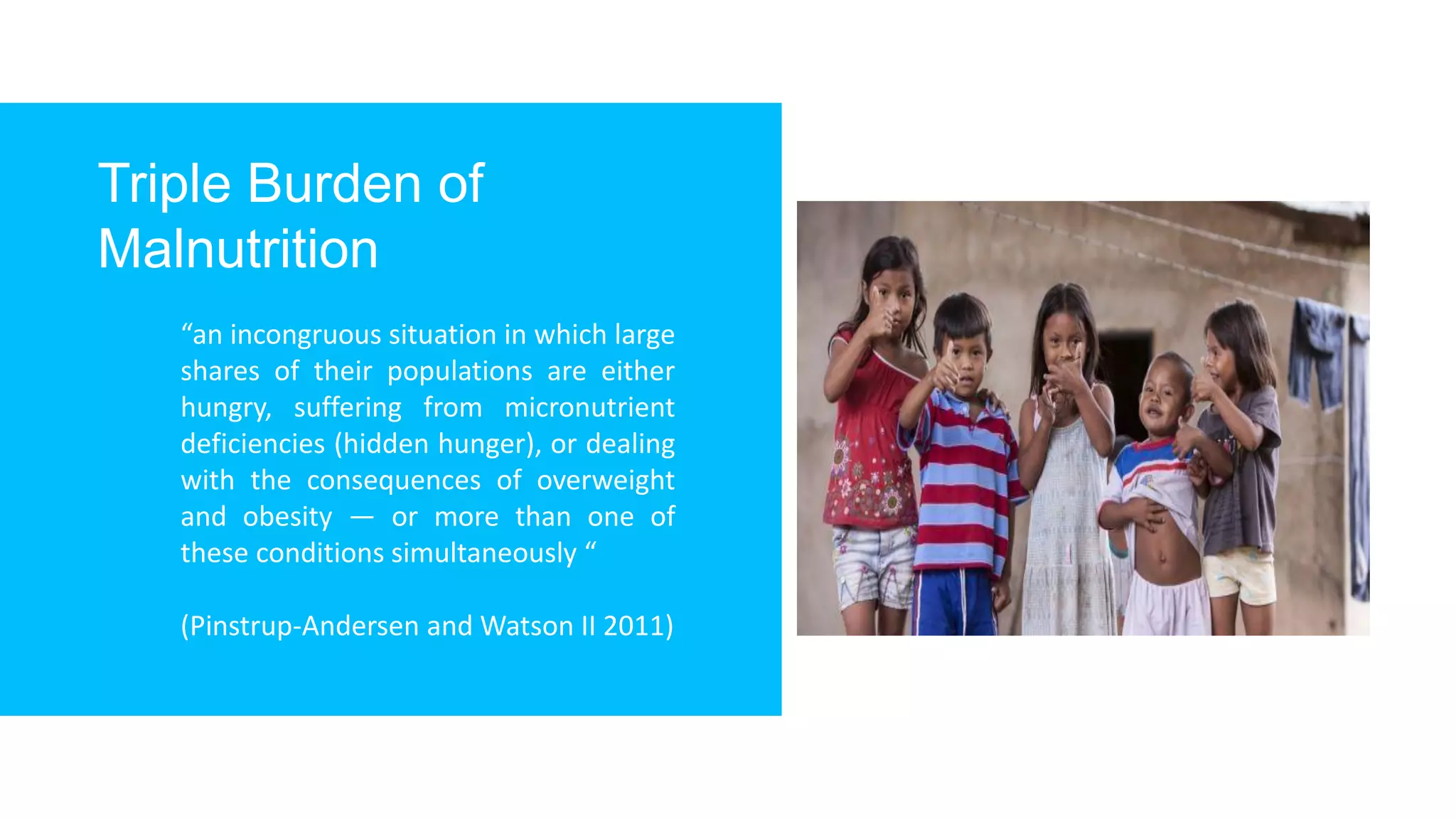 Triple Burden of Malnutrition.pdf