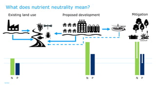 12.15 Wendy Furgusson.pdf