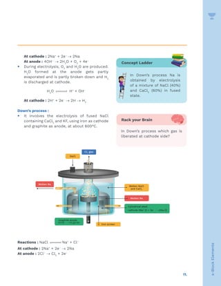 12.-s-block-notes.pdf
