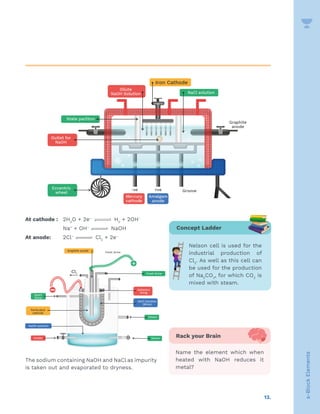 12.-s-block-notes.pdf