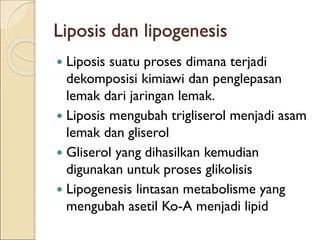 12. Metabolisme Lemak.pdf