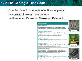 12.2 The Geologic Time Scale.ppt