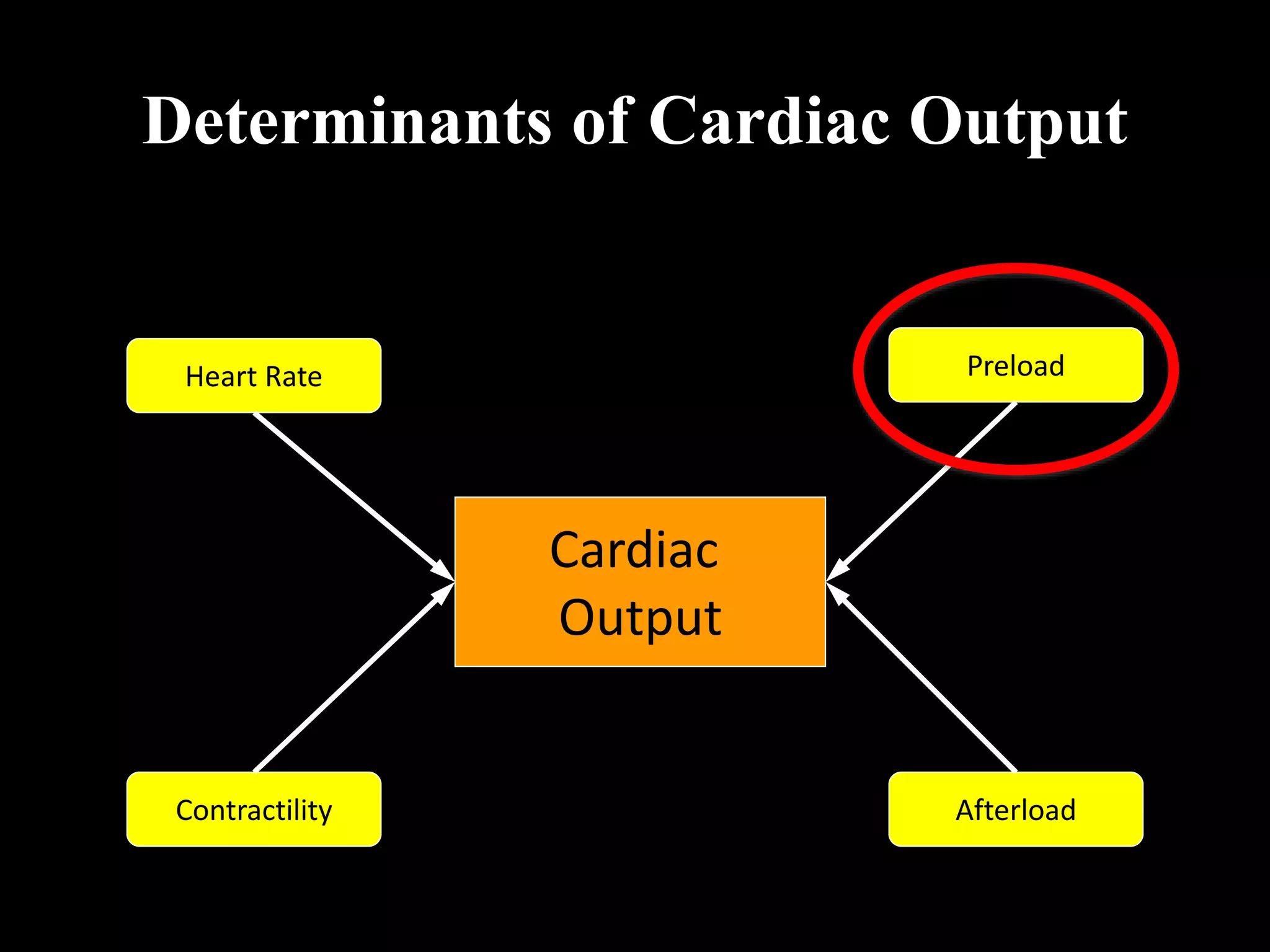 12. Cardiac Output & Venous Return.ppt