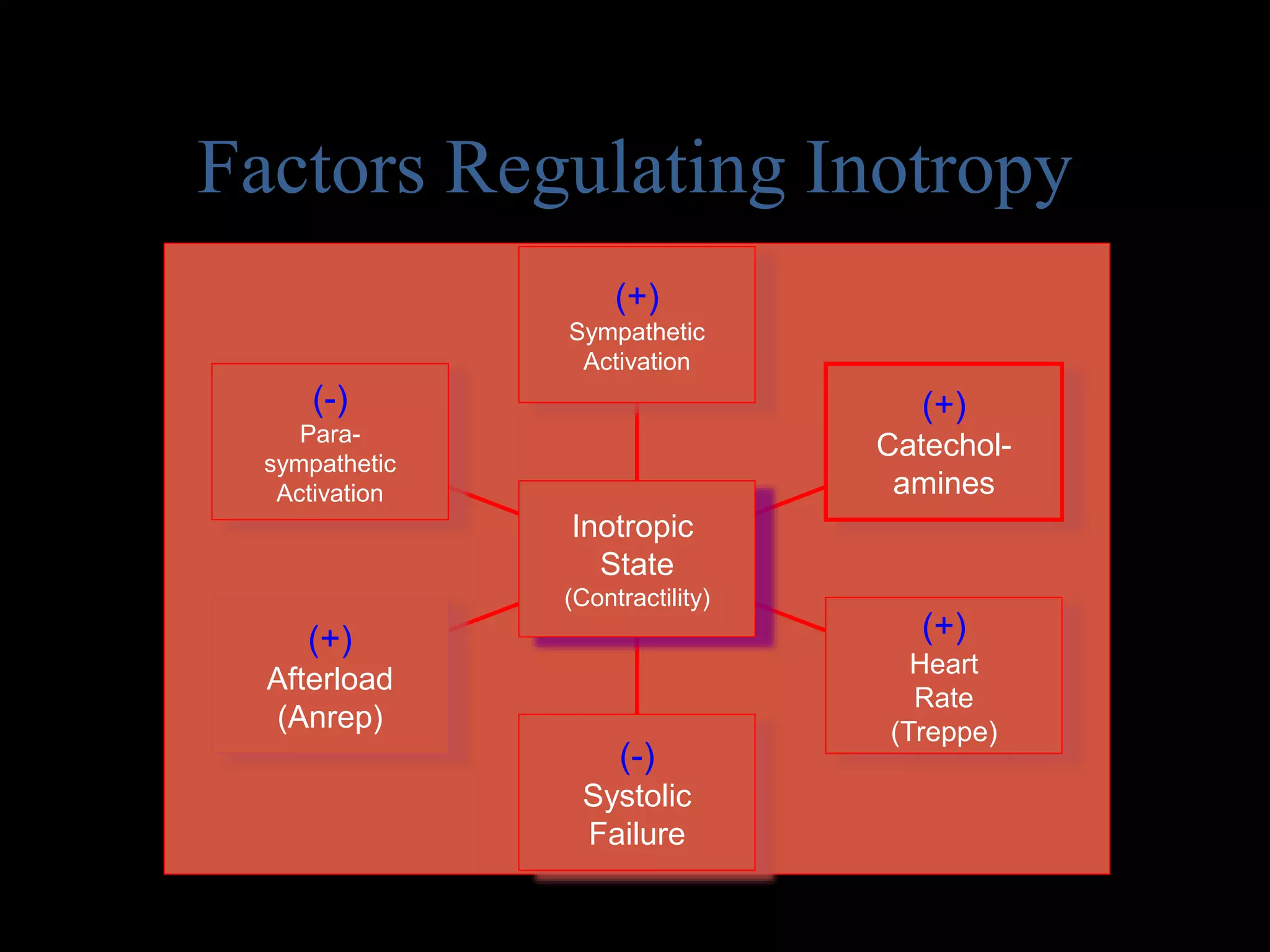 12. Cardiac Output & Venous Return.ppt