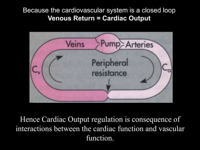 12. Cardiac Output & Venous Return.ppt