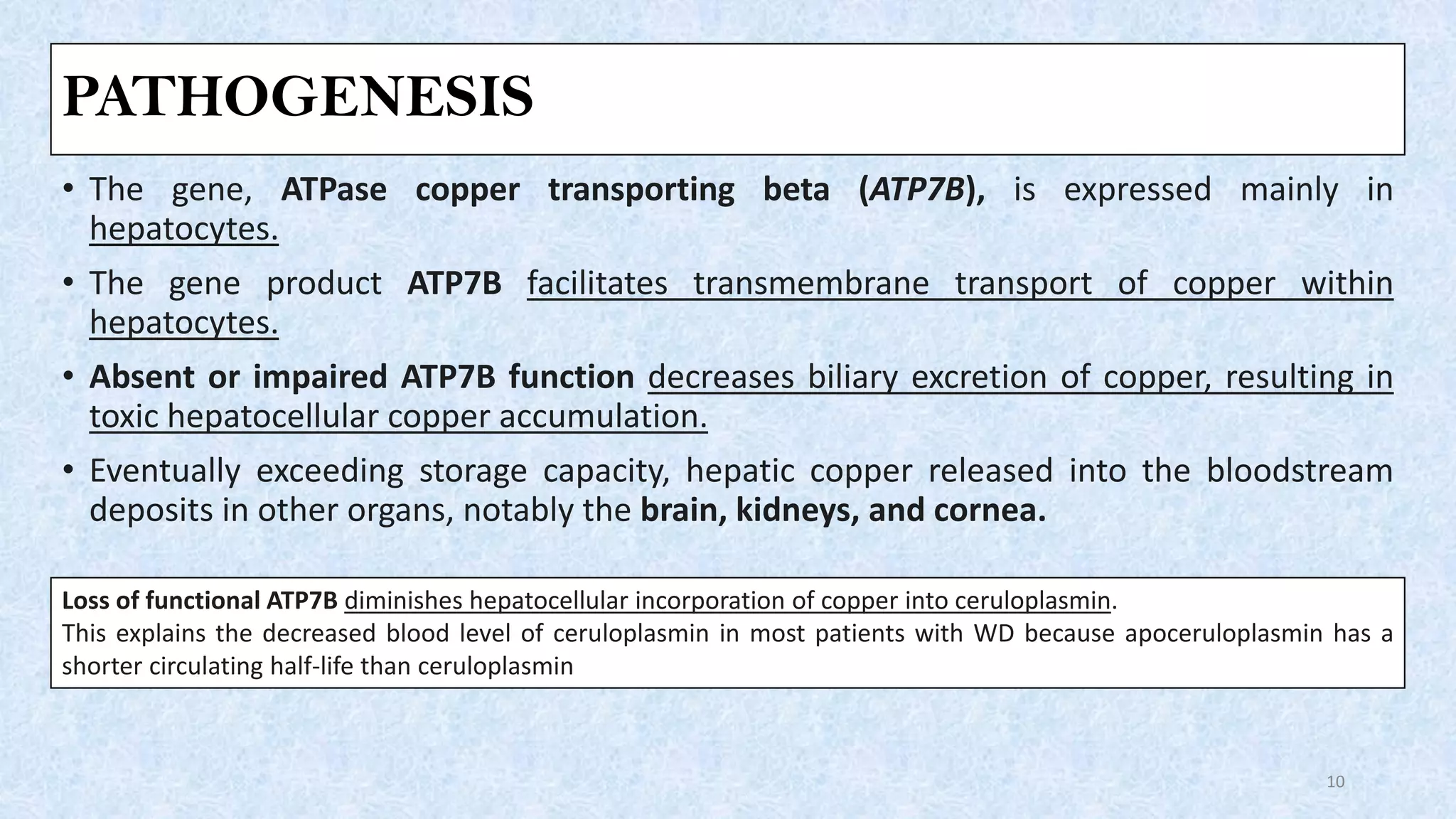 Wilson's Disease | PDF