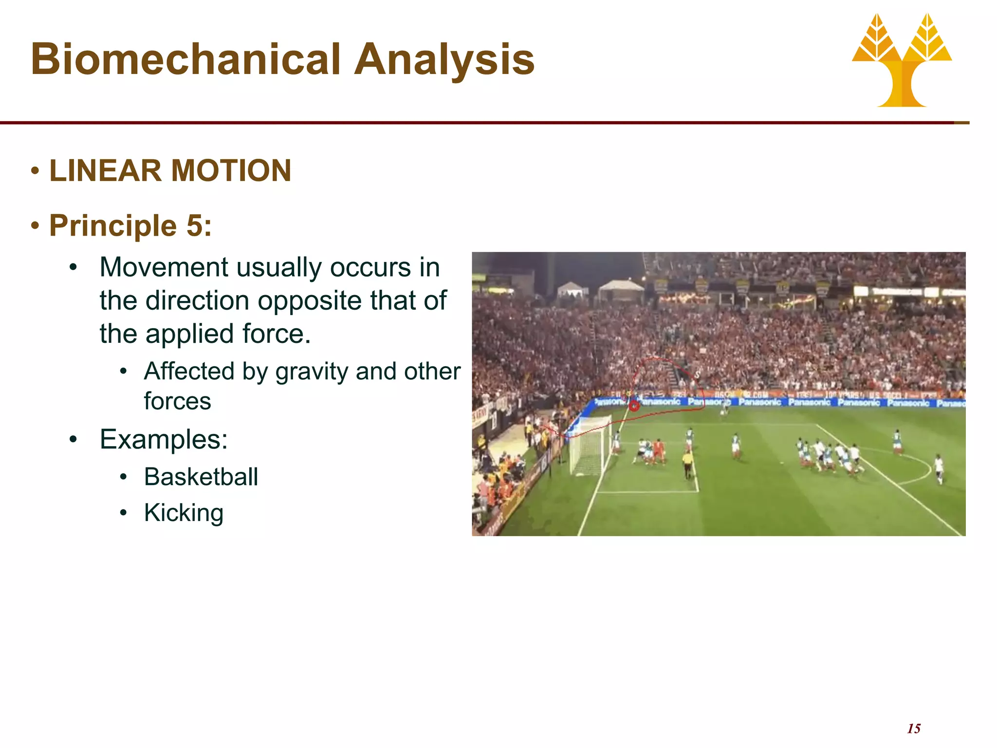 12. Principles of Biomechanics_EN.pdf