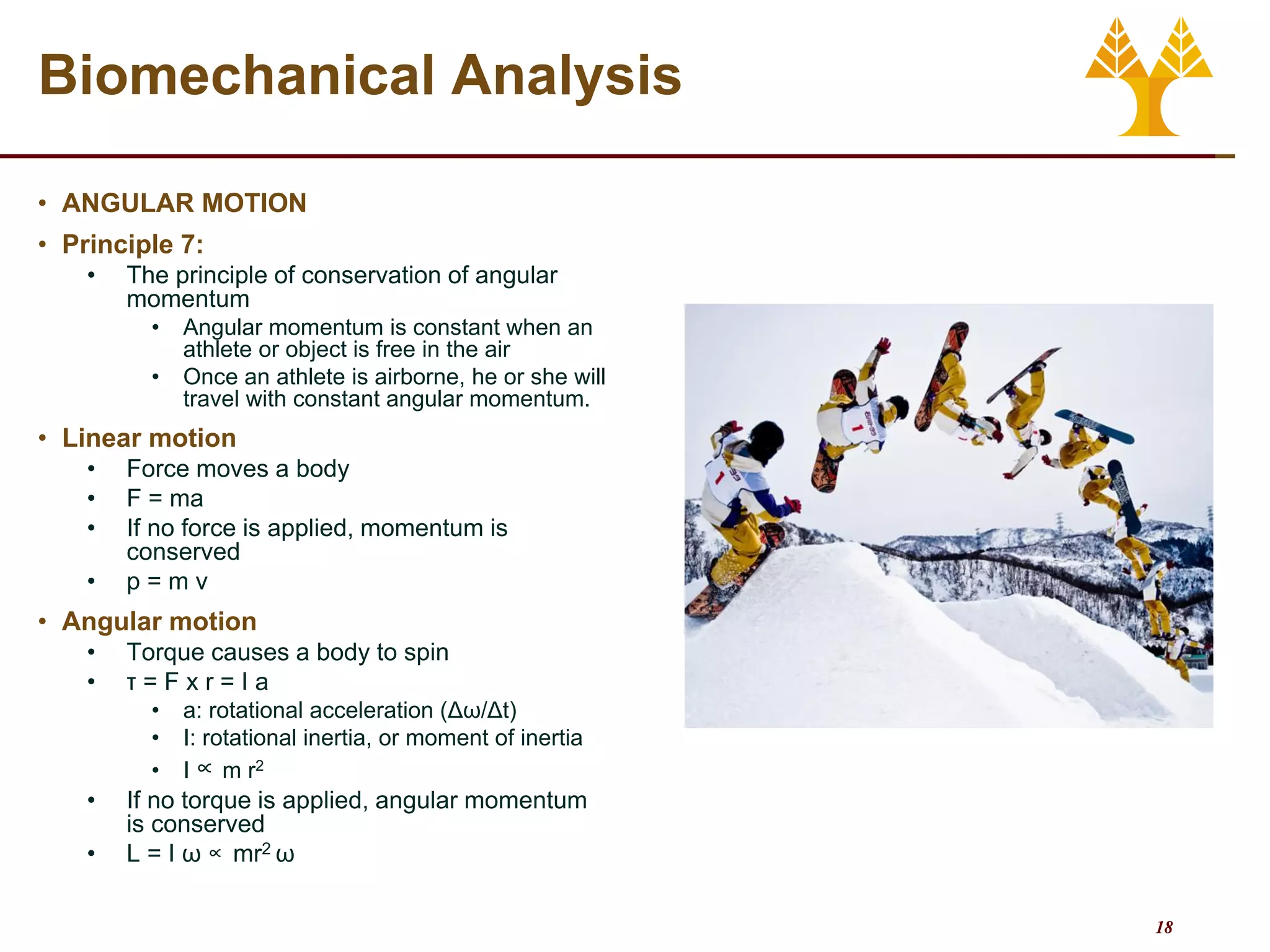 12. Principles of Biomechanics_EN.pdf