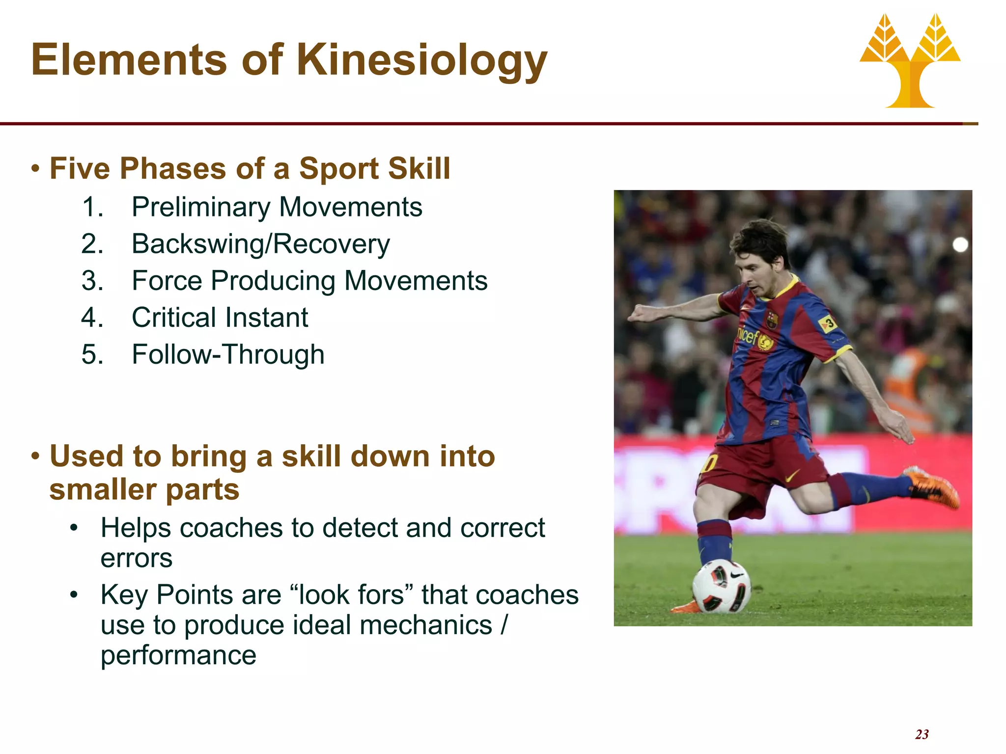 12. Principles of Biomechanics_EN.pdf