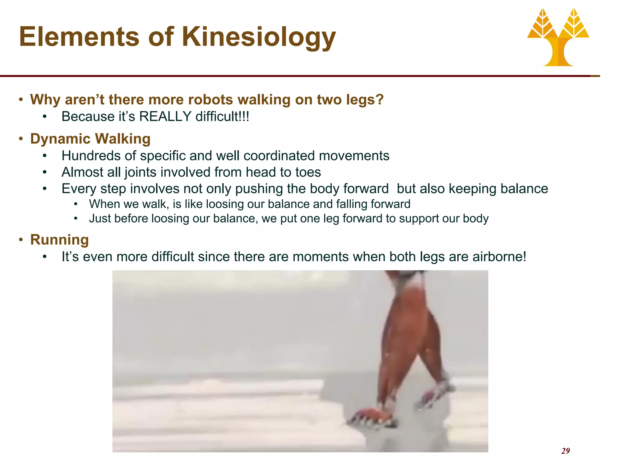 12. Principles of Biomechanics_EN.pdf