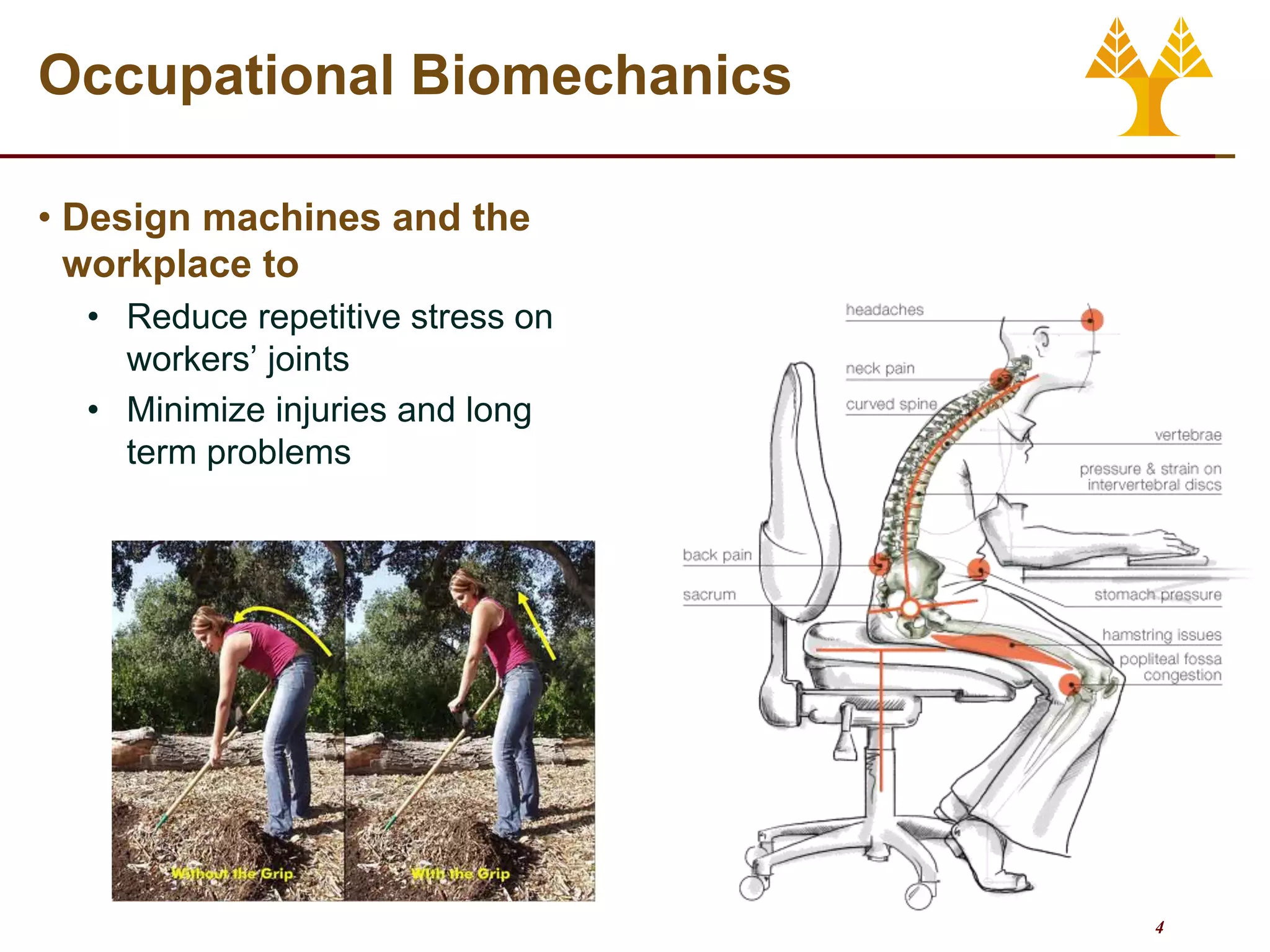 12. Principles of Biomechanics_EN.pdf
