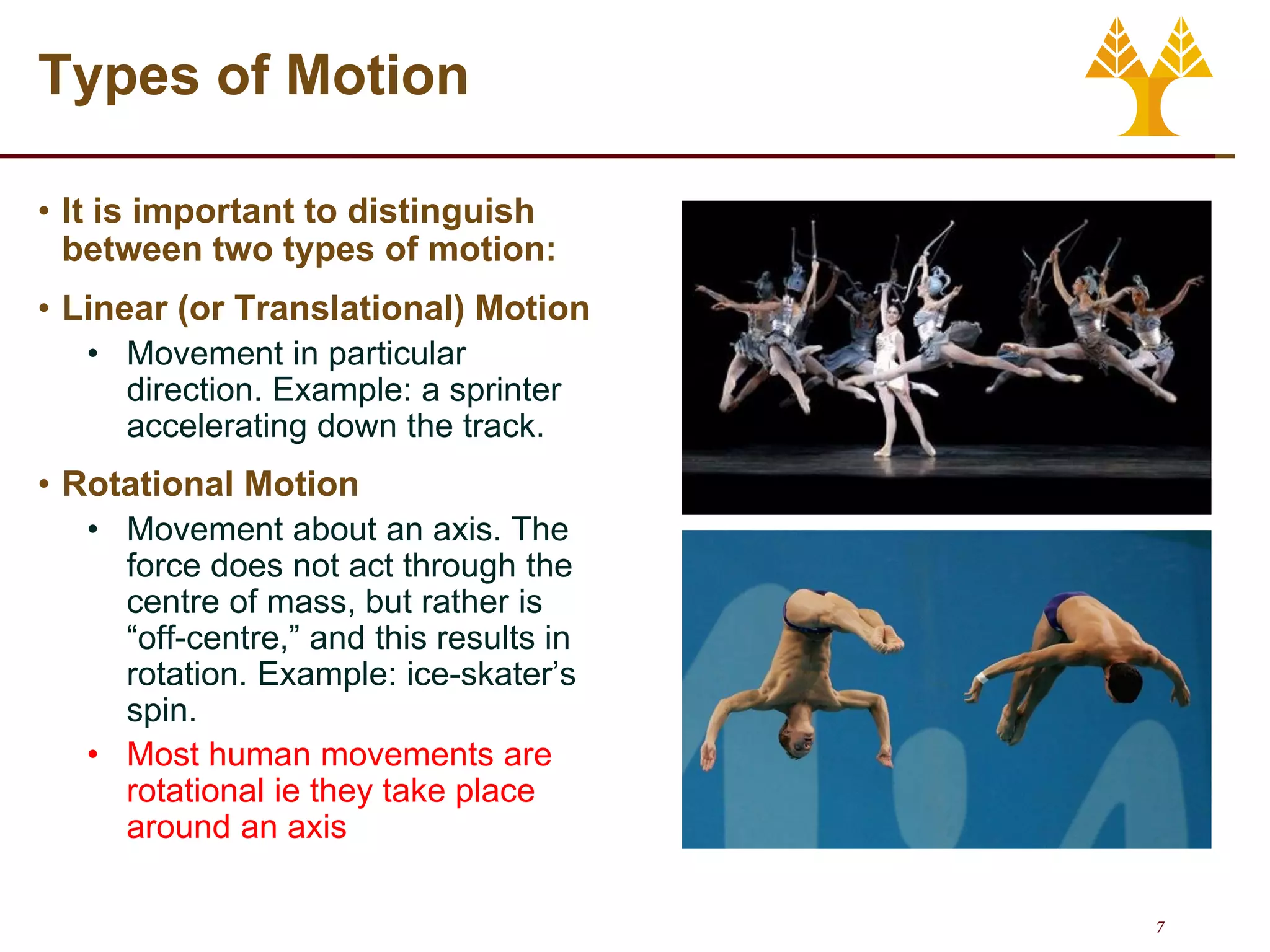 12. Principles of Biomechanics_EN.pdf