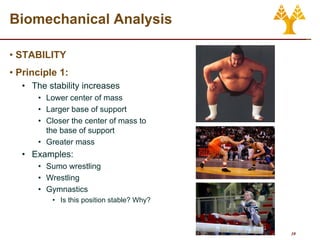 12. Principles of Biomechanics_EN.pdf