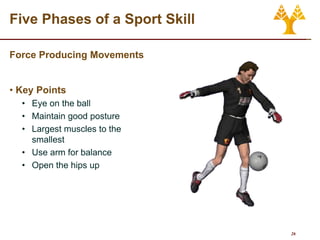 12. Principles of Biomechanics_EN.pdf