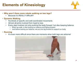 12. Principles of Biomechanics_EN.pdf