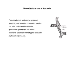 12. Alternaria.pdf