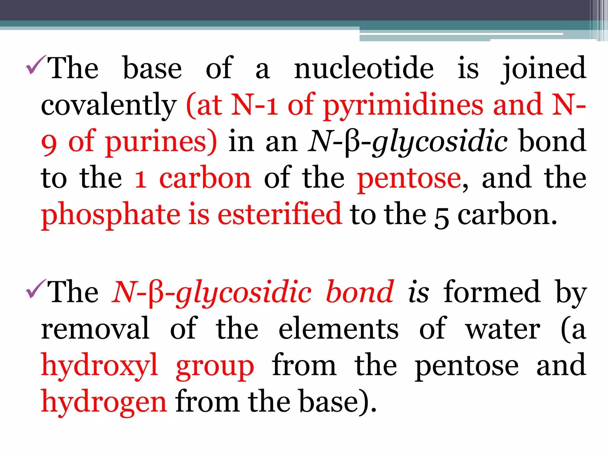 12.2NUCLEOTIDES & NUCLEIC ACIDS-1.pptx