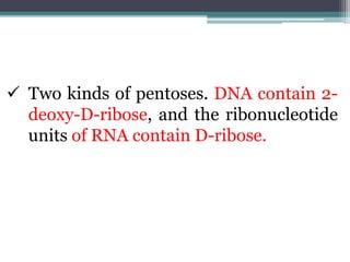 12.2NUCLEOTIDES & NUCLEIC ACIDS-1.pptx