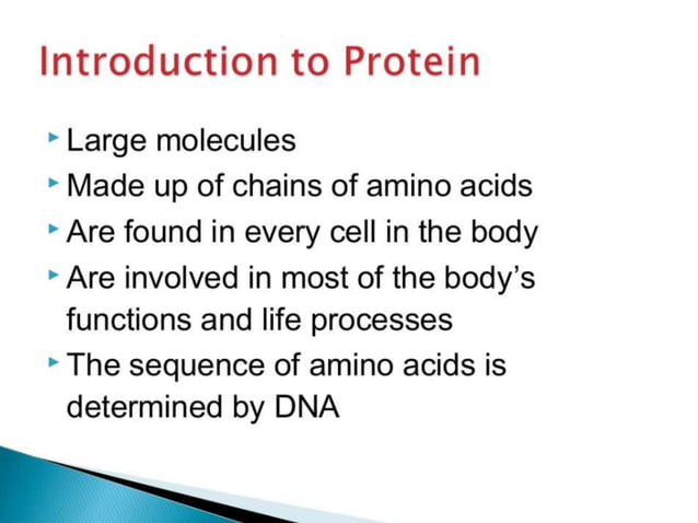 12. Proteins (Biochemistry) | PPT