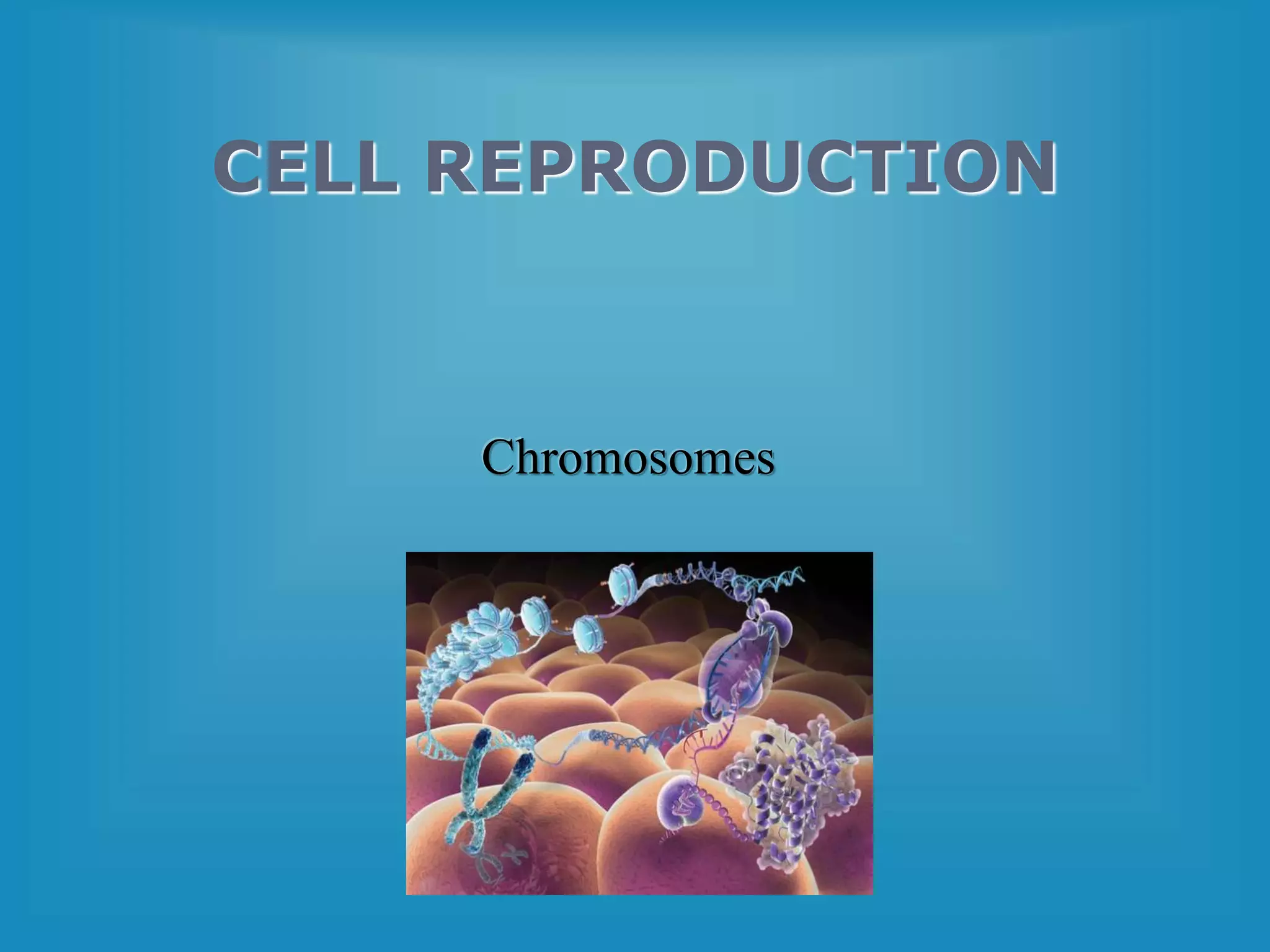 12. Chromosomes and DNA Replication.ppt
