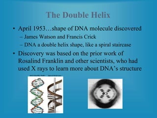12. Chromosomes and DNA Replication.ppt