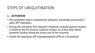 12.UBIQUITINATION.pptx