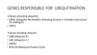 12.UBIQUITINATION.pptx