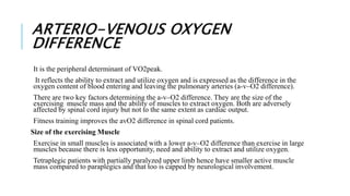 12.Cardiovascular fitness presentation.pptx