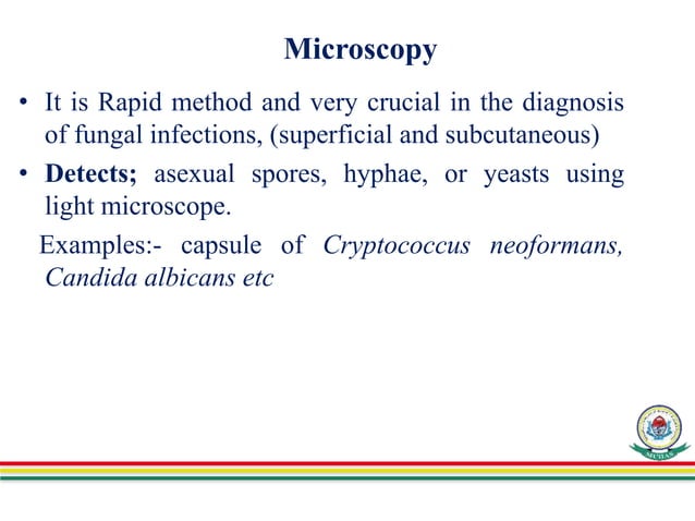 12. Fungal identification methods-New.ppt