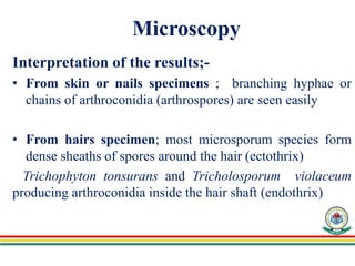 12. Fungal identification methods-New.ppt