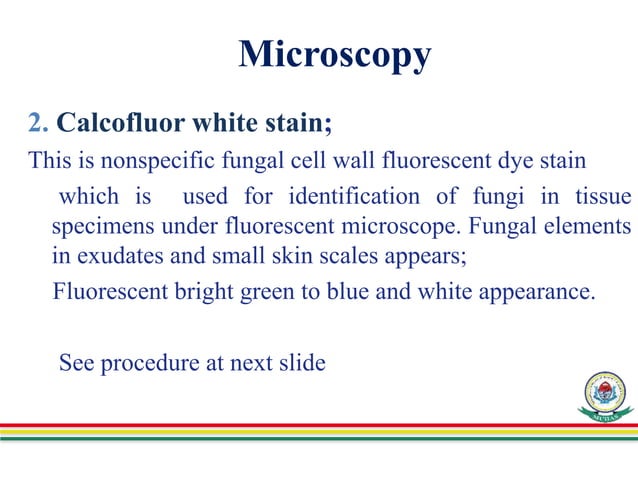 12. Fungal identification methods-New.ppt