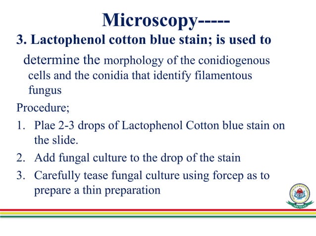 12. Fungal identification methods-New.ppt
