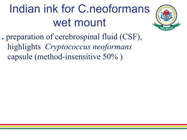 12. Fungal identification methods-New.ppt