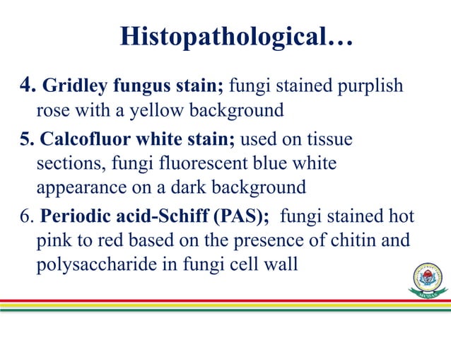 12. Fungal identification methods-New.ppt