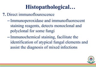 12. Fungal identification methods-New.ppt
