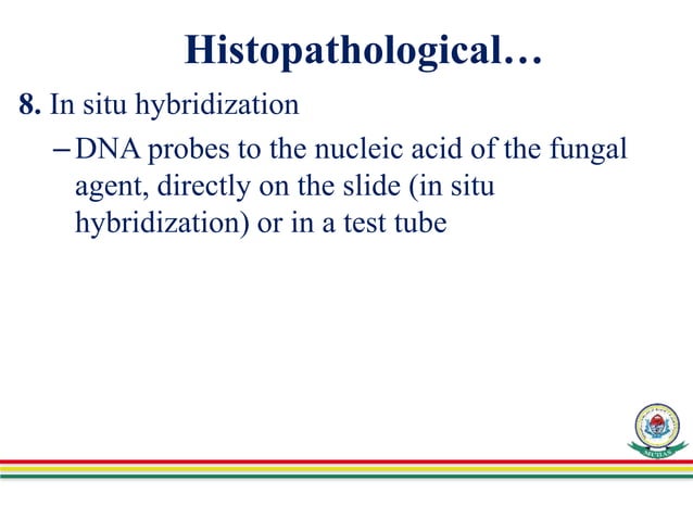 12. Fungal identification methods-New.ppt
