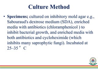 12. Fungal identification methods-New.ppt
