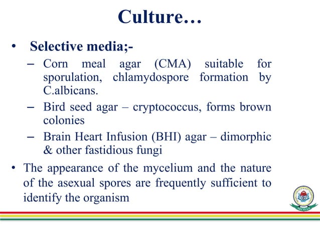 12. Fungal identification methods-New.ppt