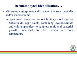 12. Fungal identification methods-New.ppt